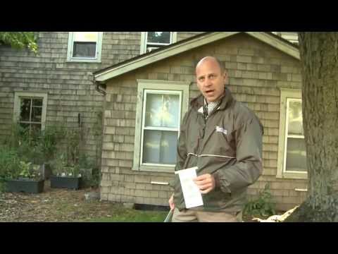 Soil Care and Fertlization