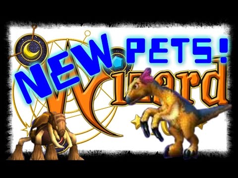 Wizard101- New Balance Pets! Welcome Sir Scout + Sir Tigra!