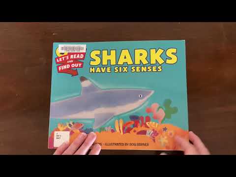 Best Shark Books for Kids ~ Ocean Unit Study Ideas