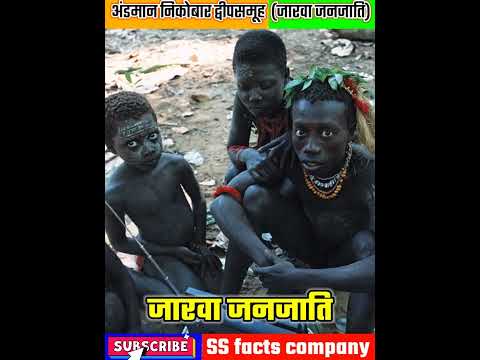 अंडमान निकोबार द्वीपसमूह की जारवा जनजाति #shorts #facts #viralshorts #trendingshorts #