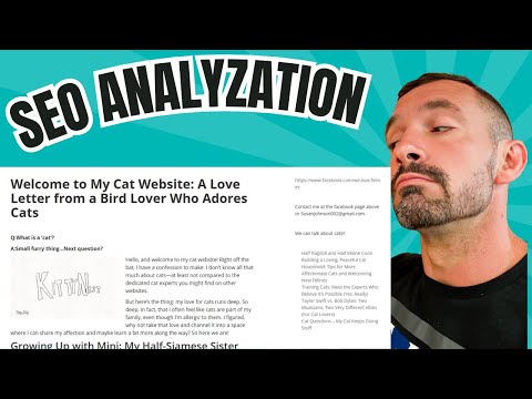 KittyNest.xyz SEO Analyzation - Important Lesson On Links & Site Health