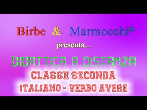 Classe seconda primaria - Italiano - Il verbo avere