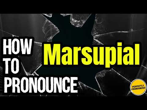 How To Pronounce Marsupial? (CORRECTLY) Meaning & Pronunciation