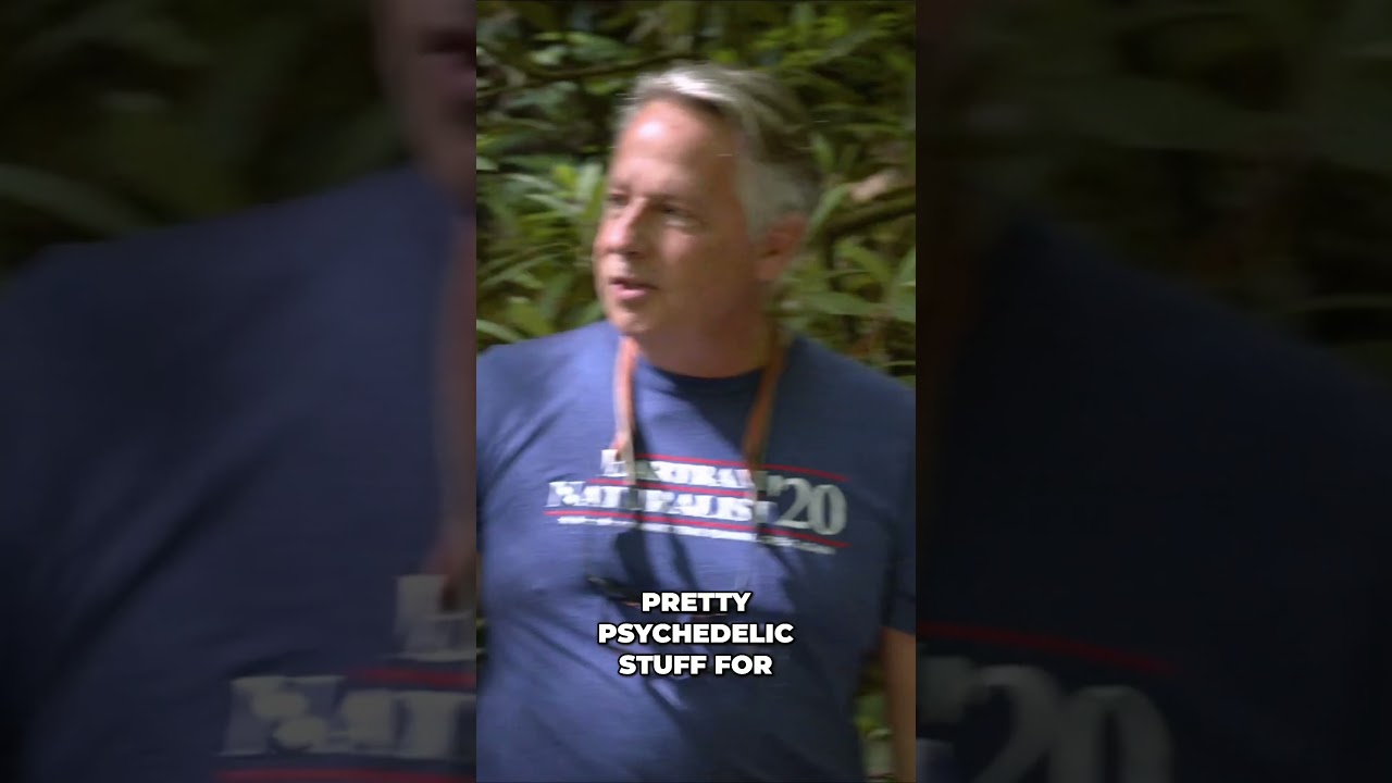 Discovering William Bartram's Psychedelic Paintings The Secret Patronage