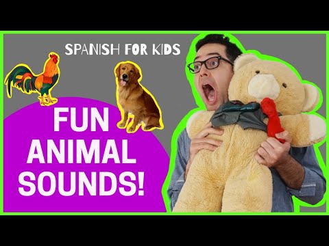 Fun Animal Sounds in Spanish for Kids | The Los Animals Song And More! | Kids Dance Fiesta