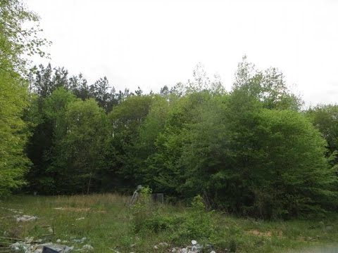 Lots And Land for sale - 955 Watson Road, Enoree, SC 29335