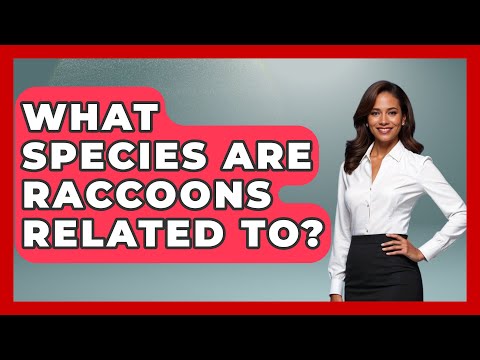 What Species Are Raccoons Related To? - Biology For Everyone