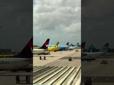 Book a flight from PBI today, we cannot wait to see you 💙 #flyPBI
