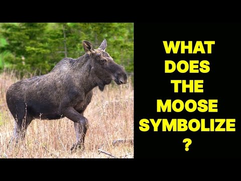 WHAT DOES THE MOOSE SYMBOLIZE ?