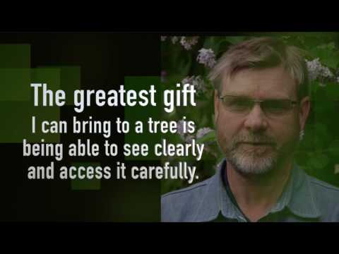 Calgary Arborist Kevin Lee - The Tree Whisperer KRL Tree Service