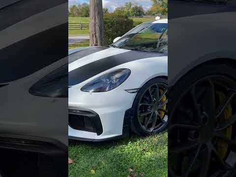 Porsche GT4
