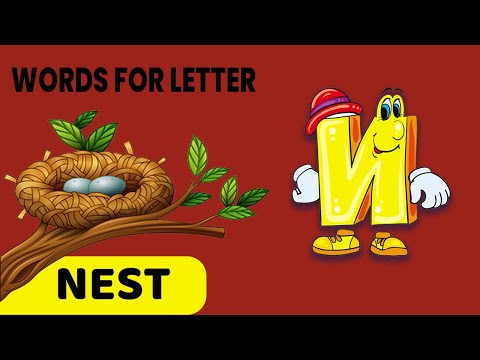 Letter N | Words That Start with Letter N For Kids | Wonderful Kids