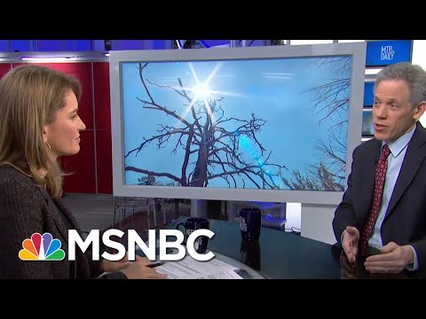 U.N. Calls Climate Outlook 'Bleak' In New Report | MTP Daily | MSNBC