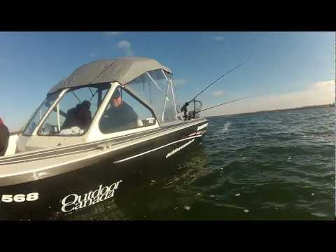 Kingfisher Discovery 1925 Bay of Quinte