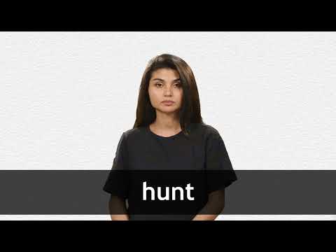 HUNT definition and meaning | Collins English Dictionary
