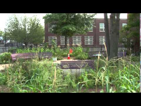 P.S. 184 Flushing Manor
