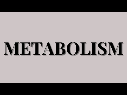 How to Pronounce Metabolism in English