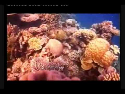 new 7 wonders of the world 2010 - Maldives