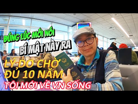 Mất 2 Năm Hội Nhập Mỹ NHƯNG Mất 10 Năm Để Được Về VN Sống An Nhàn! What?