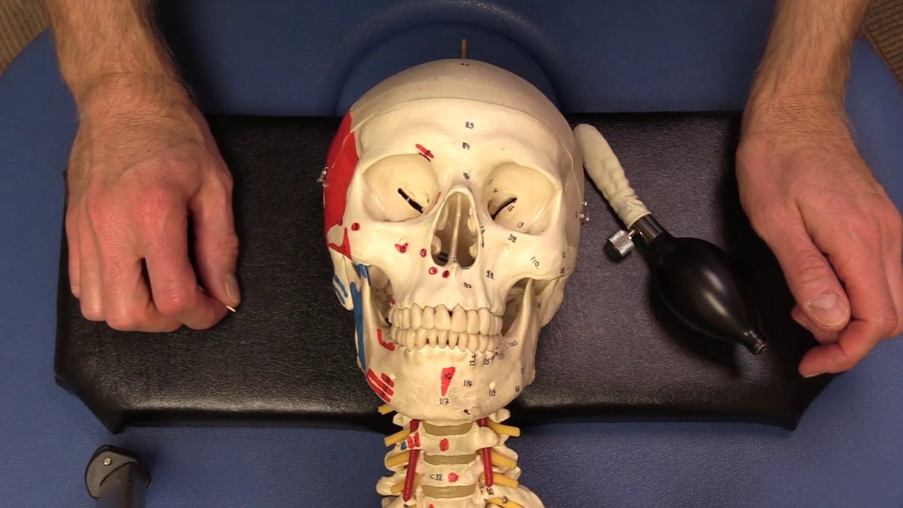 ABC Endonasal Cranial Correction™ Introduction