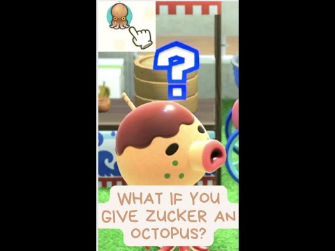 What If You Give Zucker An Octopus