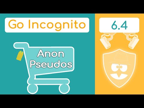 Pseudonymization & Anonymization | Go Incognito 6.4