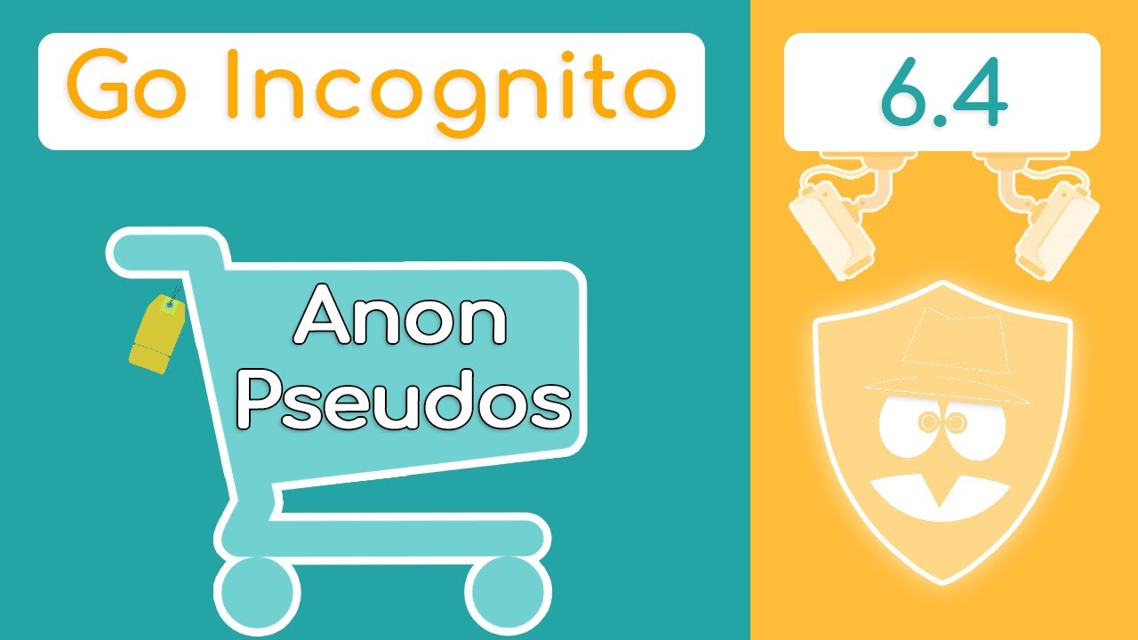 Pseudonymization & Anonymization | Go Incognito 6.4