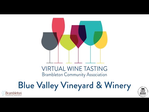 Bram Virtual Wine Tasting: Blue Valley Vineyard & Winery