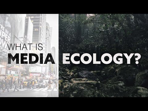 What is Media Ecology? A conversation with Austin Gravley.