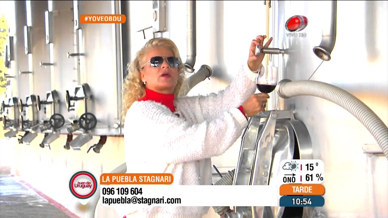 Bodega Stagnari Aprendemos sobre Tanques de Fermentacion.