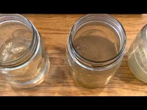 Solubility of White, Red, and Black Ginseng | Justin Penoyer DACM, LAc