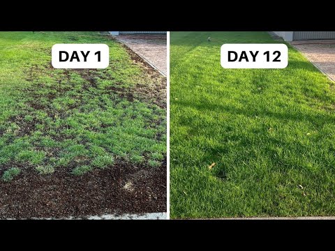 Skip Aerating & Get These Results