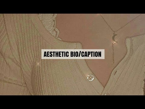aesthetic bio ideas for instagram and twitter