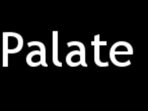 How to Pronounce Palate