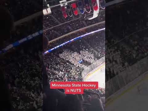Minnesota State High School Hockey is NUTS ๐คฏ๐
