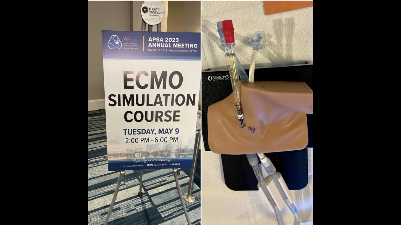 APSA2023 - RediStik ECMO Cannulation Simulation