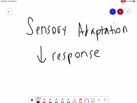 What is sensory adaptation? (page 305 ).
