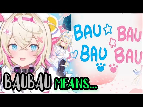 The meaning of BAUBAU