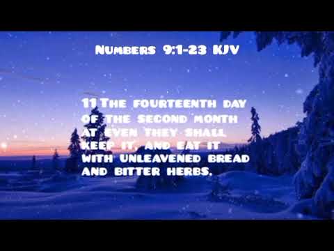 NUMBERS Chapter 9 KJV