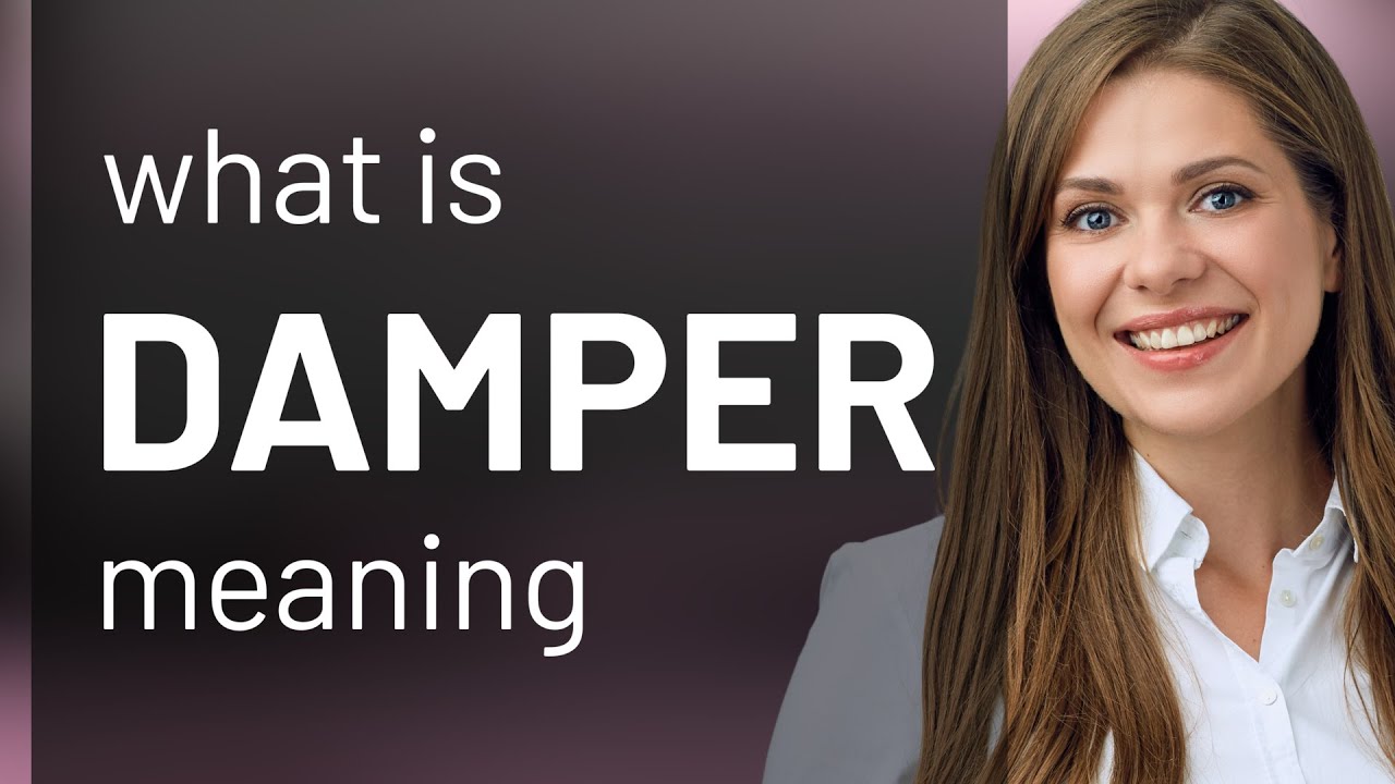 Damper — DAMPER definition