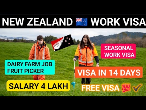 NEW ZEALAND 🇳🇿 SEASONAL WORK VISA IN JUST 14 DAYS | NO AGE LIMIT | NO IELTS