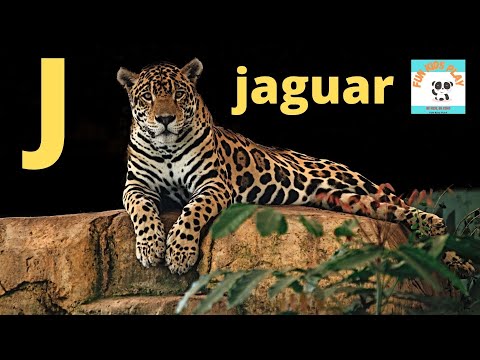 Five Words that Start with J | ABC | Alphabet