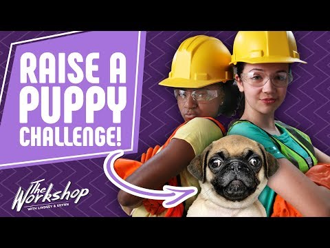 Raise a Puppy Challenge | The Workshop