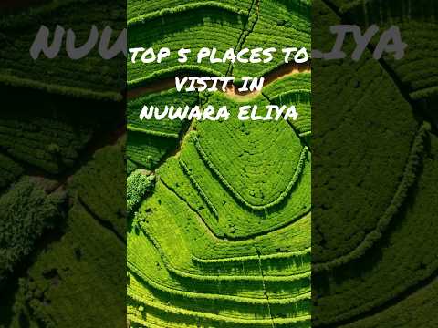 Top 5 Places in Nuwara Eliya