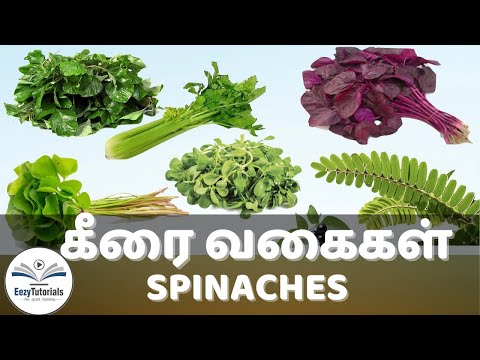கீரை வகைகள் | கீரைகள் | Keerai vagaigal, Keeraigal in Tamil and English | Leafy greens spinaches