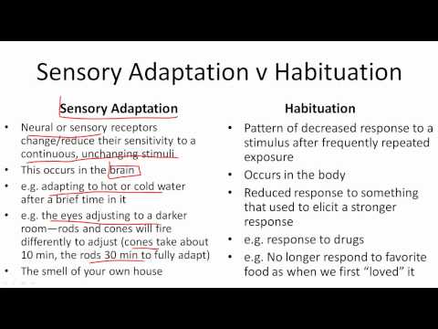 Sensory Adaptation v Habituation