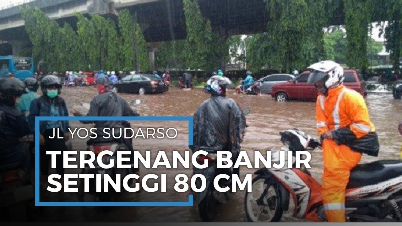 Video Banjir Setinggi Paha Orang Dewasa Genangi Jalan Yos Sudarso - Tribun Video