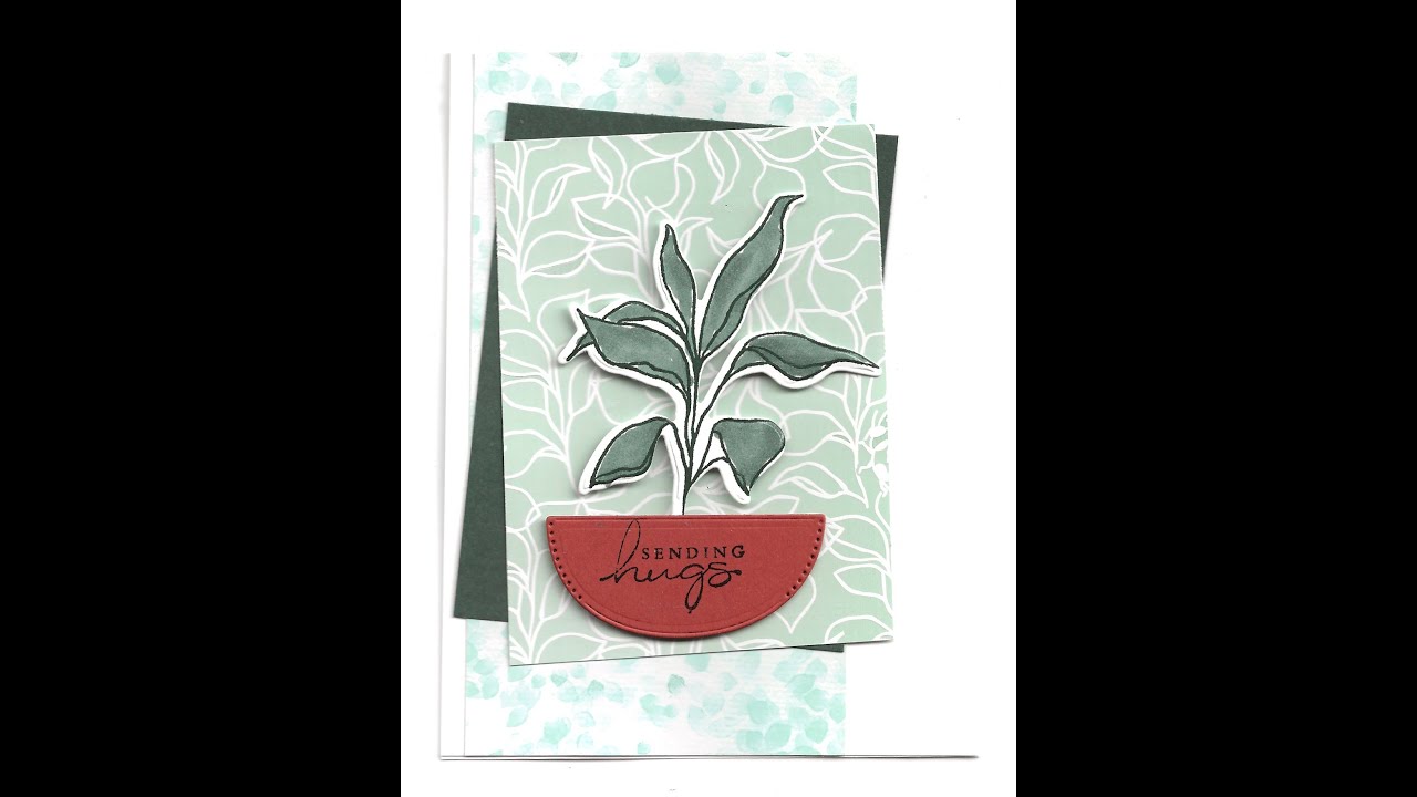 Splendid Thoughts Suite FB Live