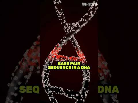 Mutation Explained in 60 Seconds #mutation #biology