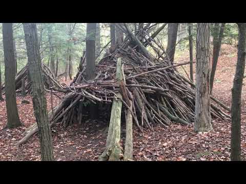 Southern Ontario Sasquatch tree structures complex – Sasquatch Close ...